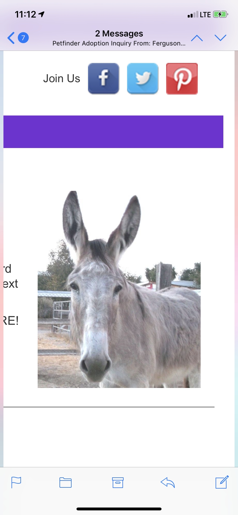 PetFinder Reviews - 175 Reviews of Petfinder.com | Sitejabber