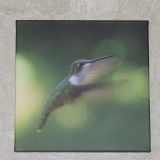 CanvasDiscount Reviews - 846 Reviews of Canvasdiscount.com | Sitejabber